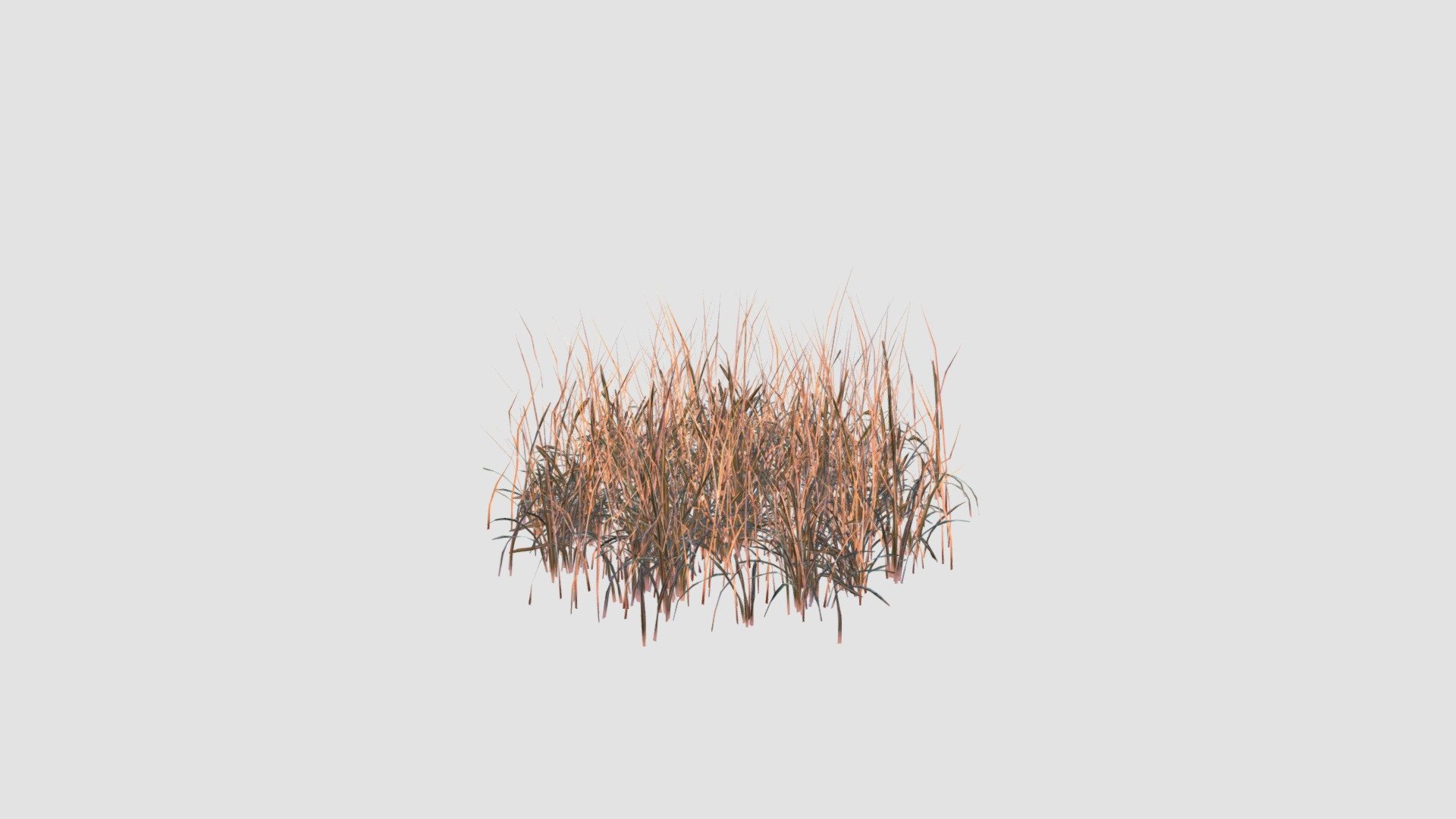 simple grass medium - Buy Royalty Free 3D model by Evermotion [166802b ...