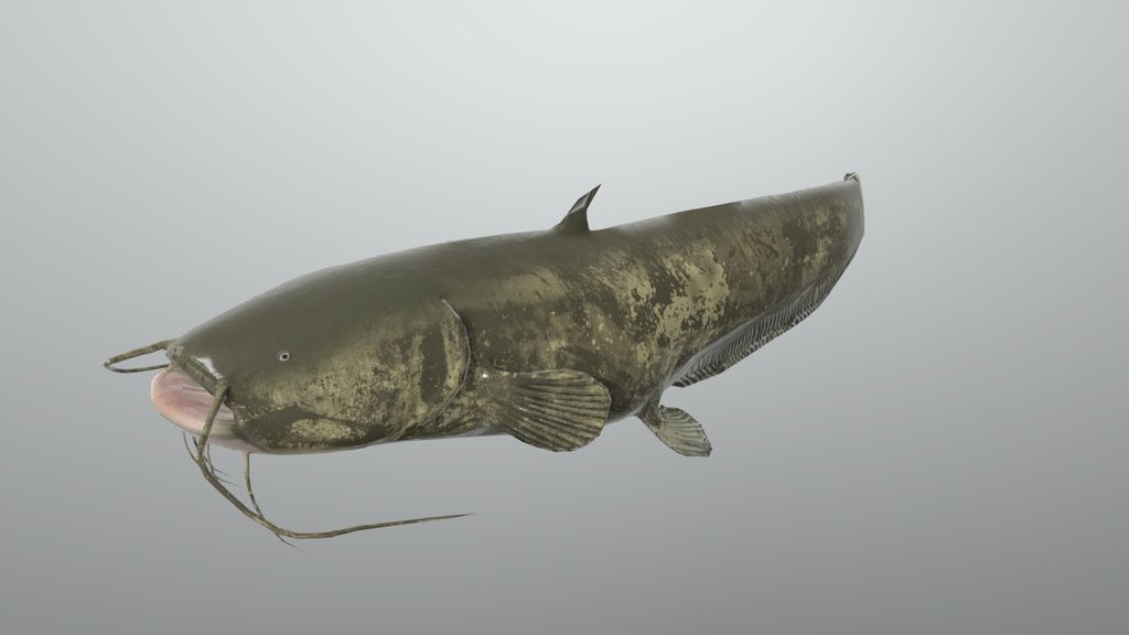 Holocene - Gumelnita culture - Romania - A 3D model collection by ...