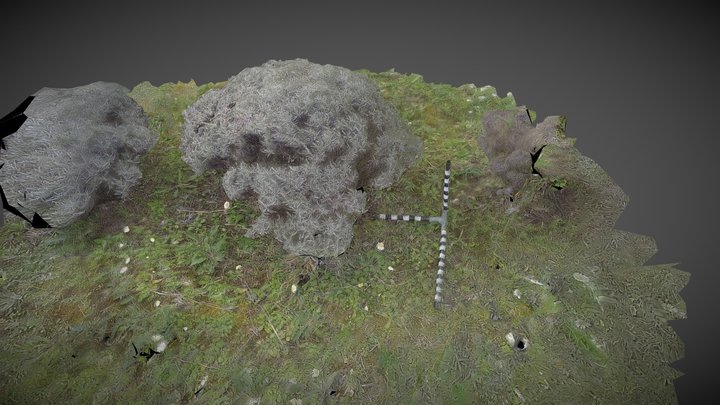 Sampling 3D models - Sketchfab