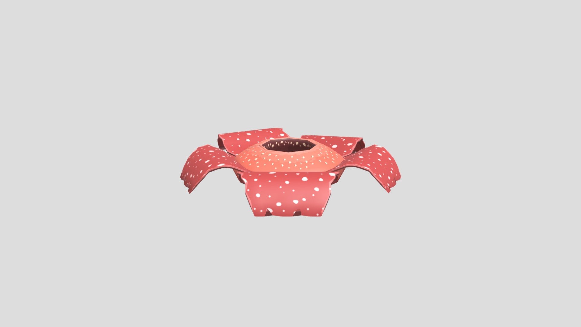 Rafflesia arnoldii flower - Download Free 3D model by saltoc in ...