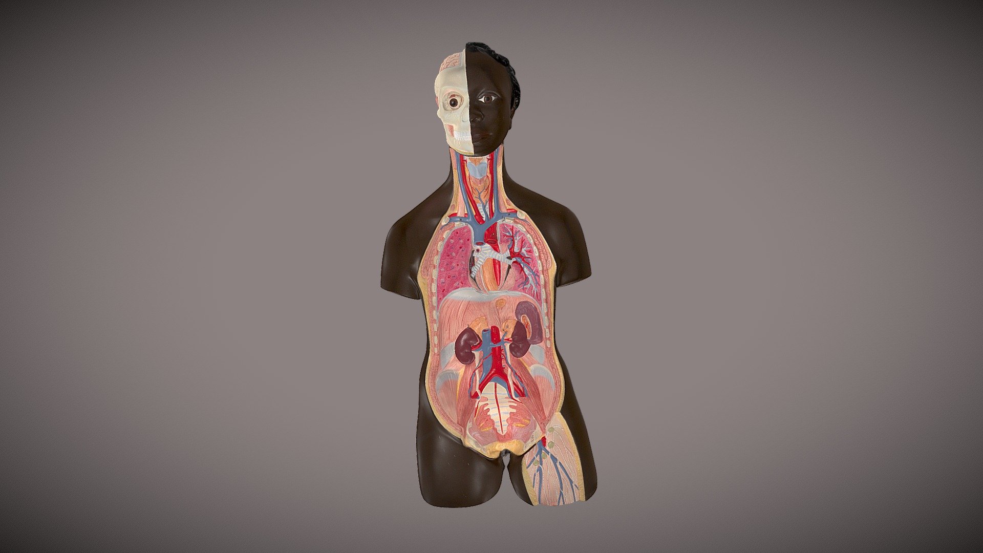 Empty body model - 3D model by OrJames Labs (@orjameslabs) [16878b7 ...