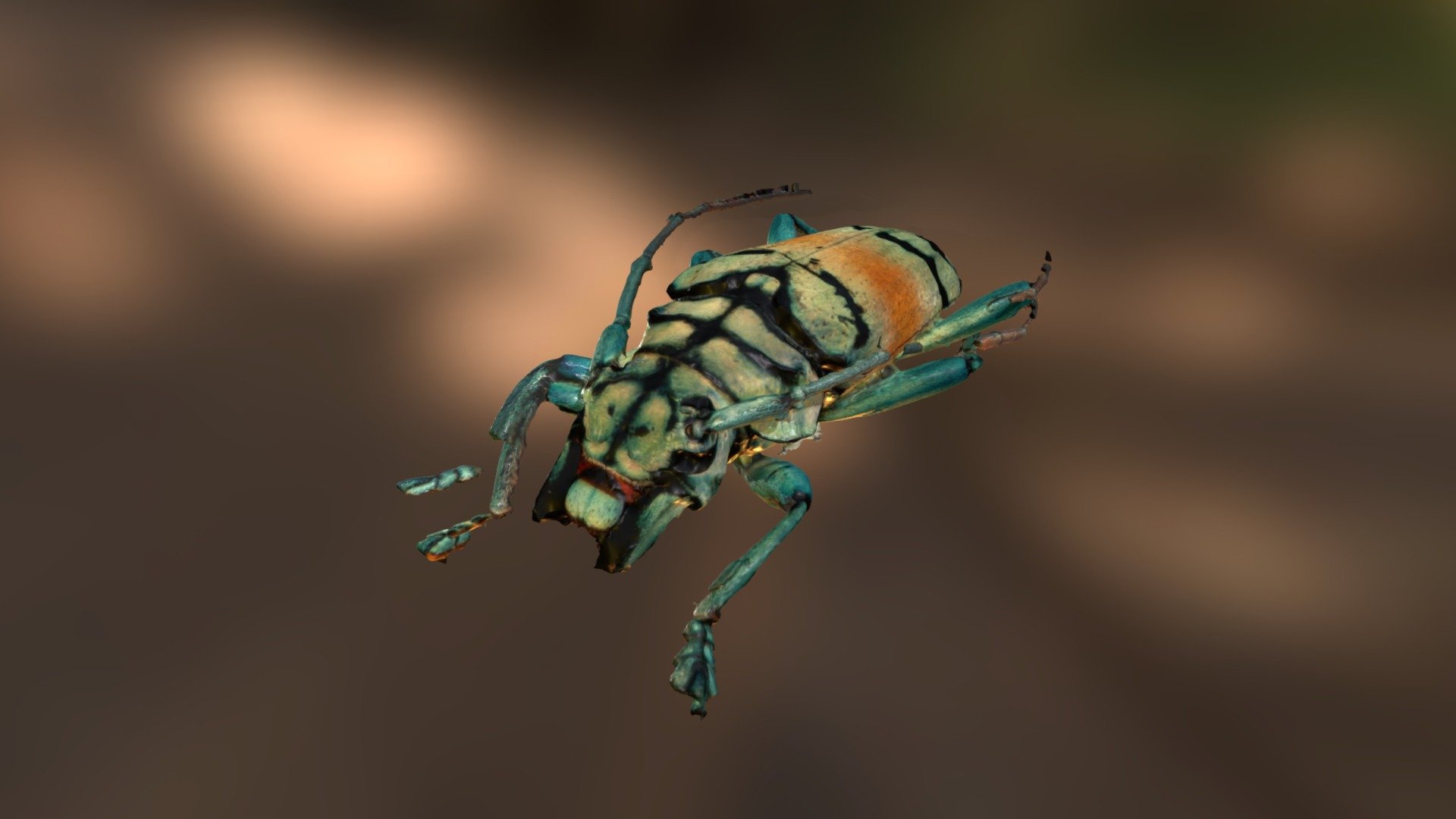 Macro Photogrammetry Test Subject - 3D model by tommyoshima [16943e9 ...