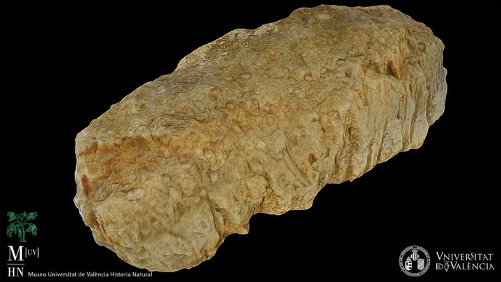 Skolithos 3D models - Sketchfab