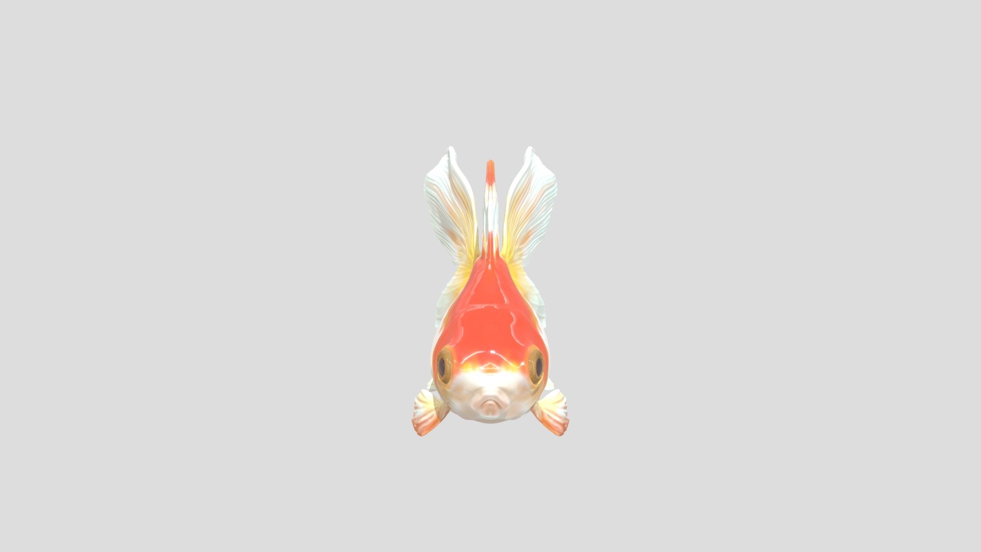 goldfish - Download Free 3D model by YuqingDuan [169e6d0] - Sketchfab