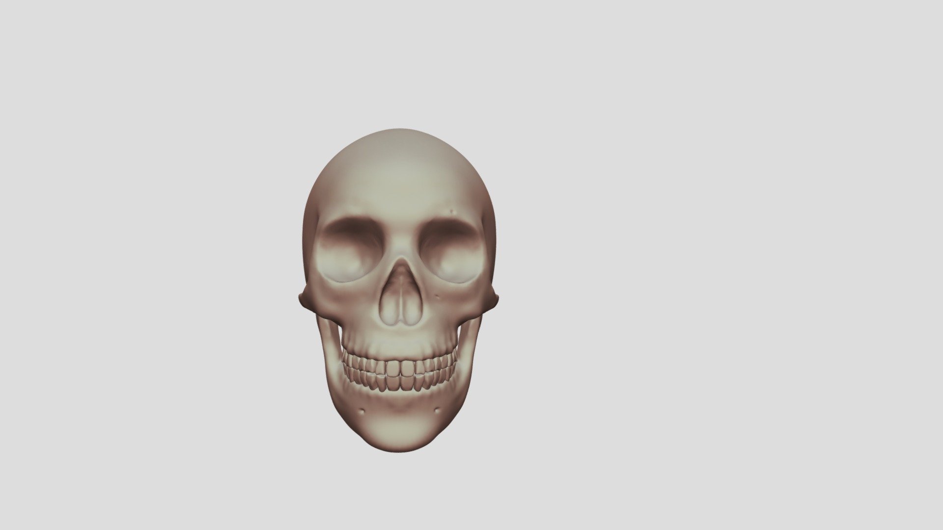 Simple Skull - Download Free 3D model by Headcrab (@yellowstoner ...