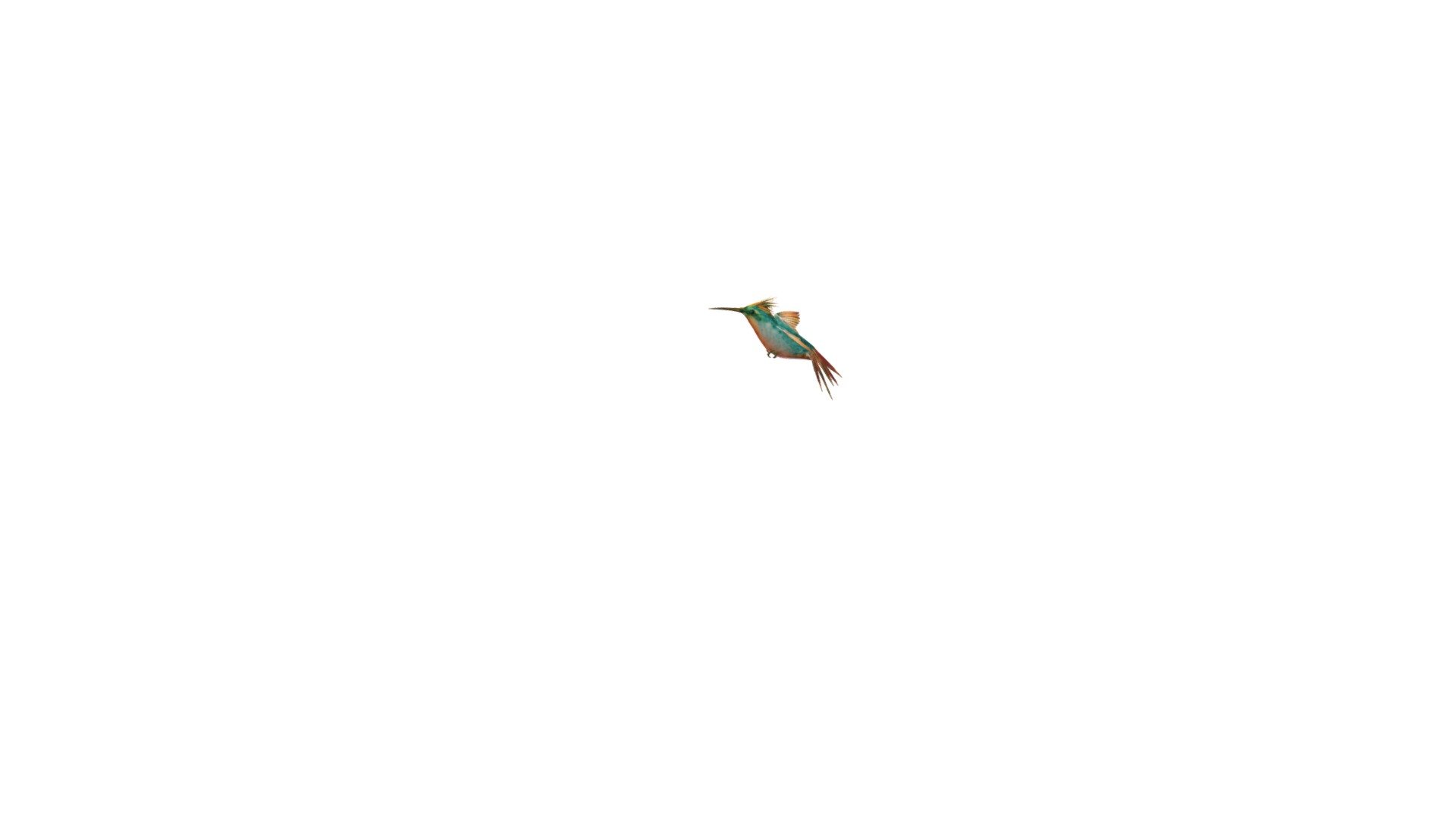 Hummingbird__ Flying023 - Download Free 3D model by Sabinin.Andrey ...