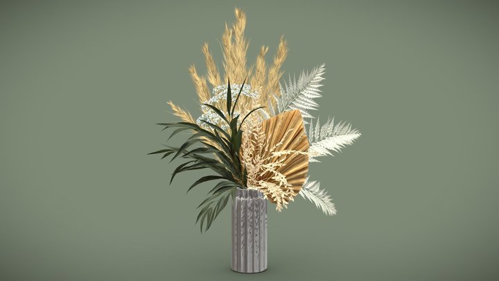Fern 3D models - Sketchfab