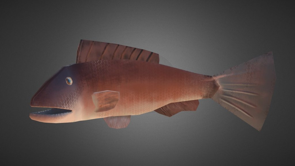 Mohawked Gawker Fish - 3D model by Matt Bodner (@liphttam1) [16ba378 ...