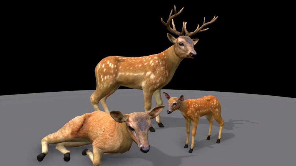Deers - 3D model by RedDeer (@billl90) [16c1b94] - Sketchfab