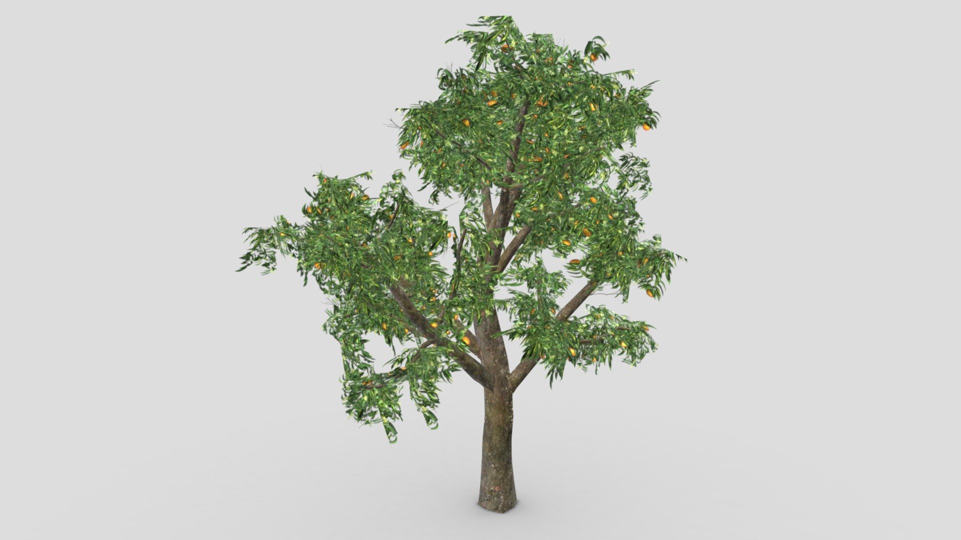 Orange Tree- S02 - Buy Royalty Free 3D model by ASMA3D [16c3c64 ...