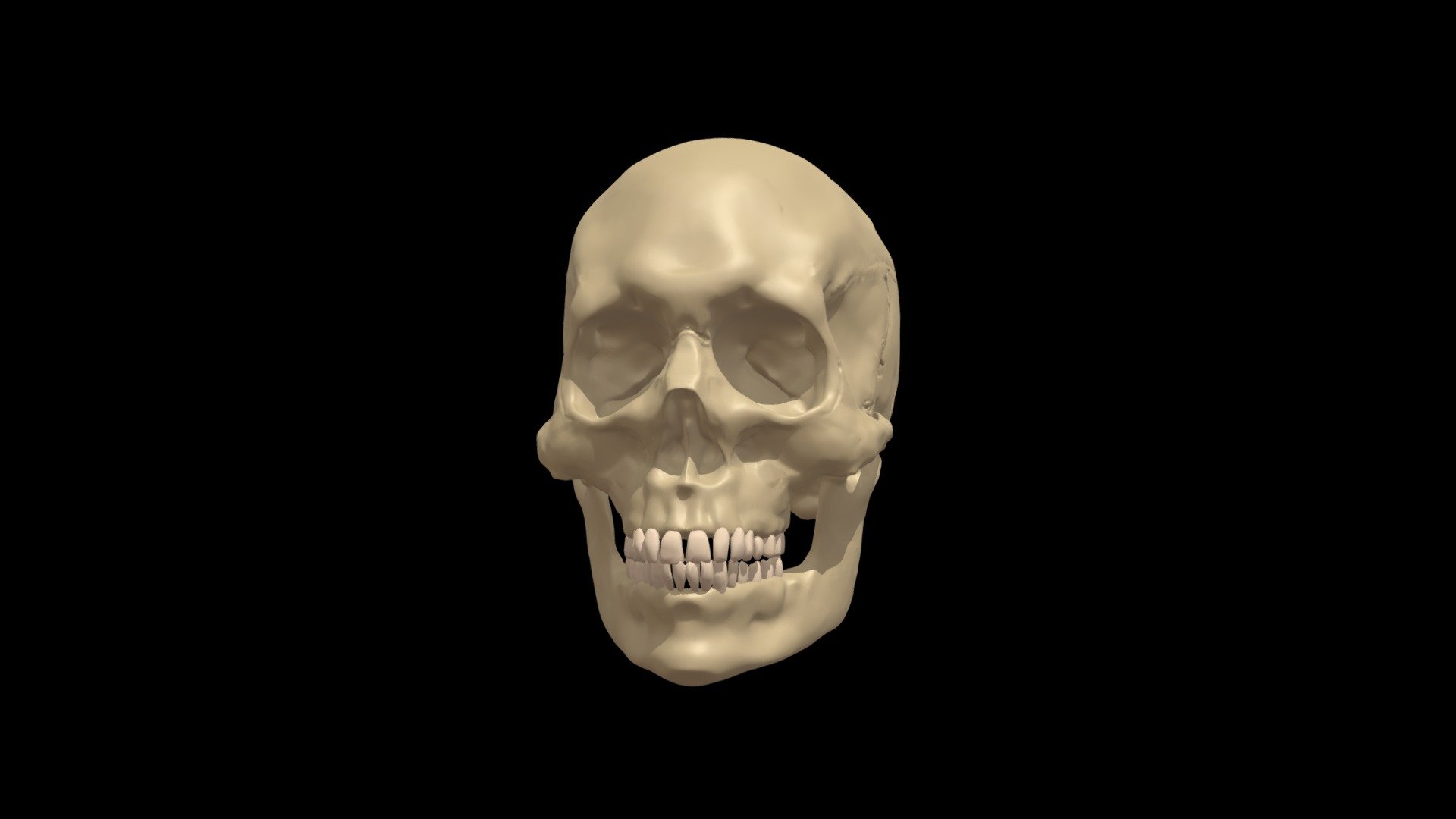 skull - 3D model by Muhammadvpp7 (@mohamedvp45) [16c4f7c] - Sketchfab