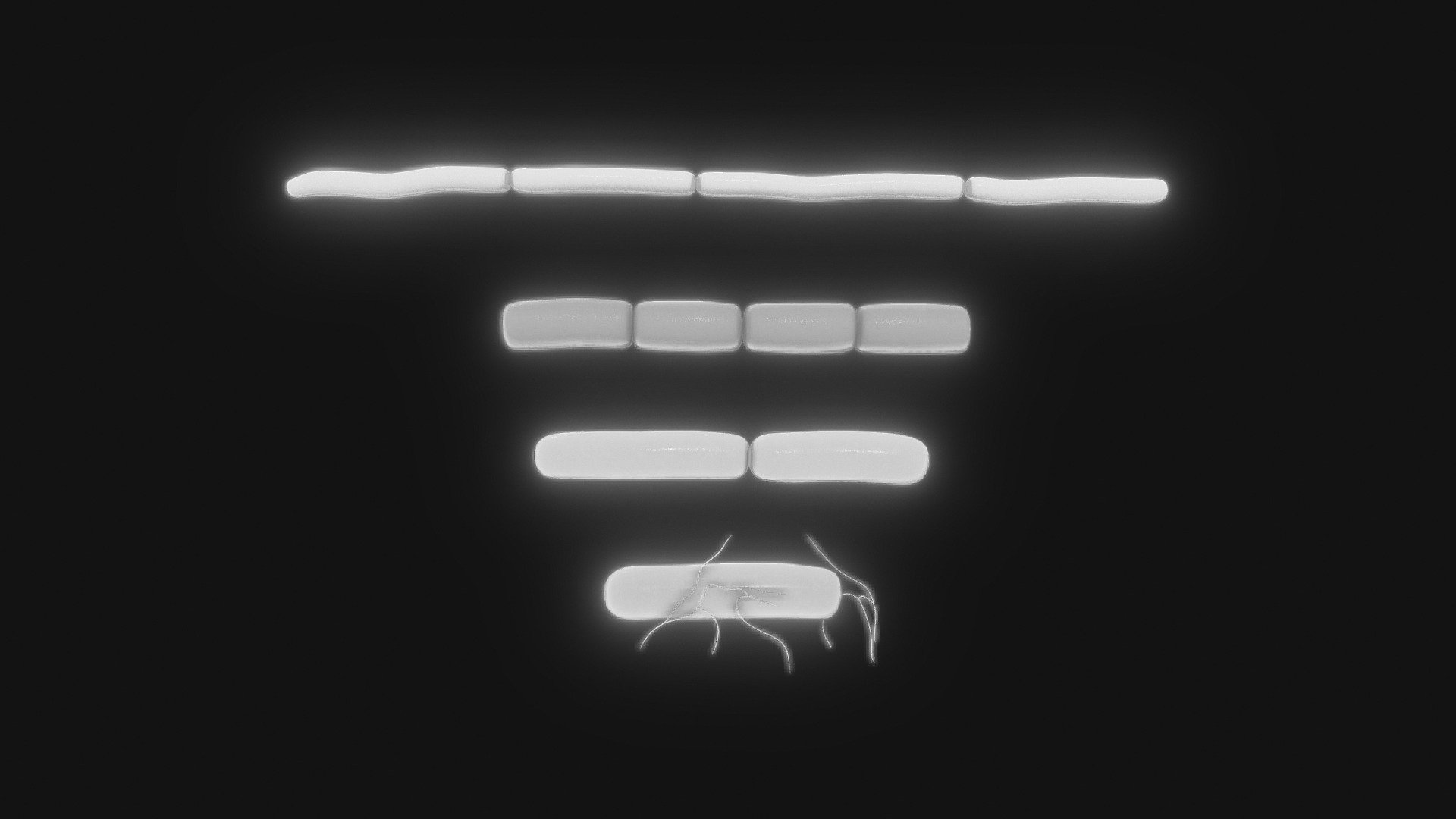 Bacillus Bacteria - Buy Royalty Free 3D model by Nima (@h3ydari96 ...