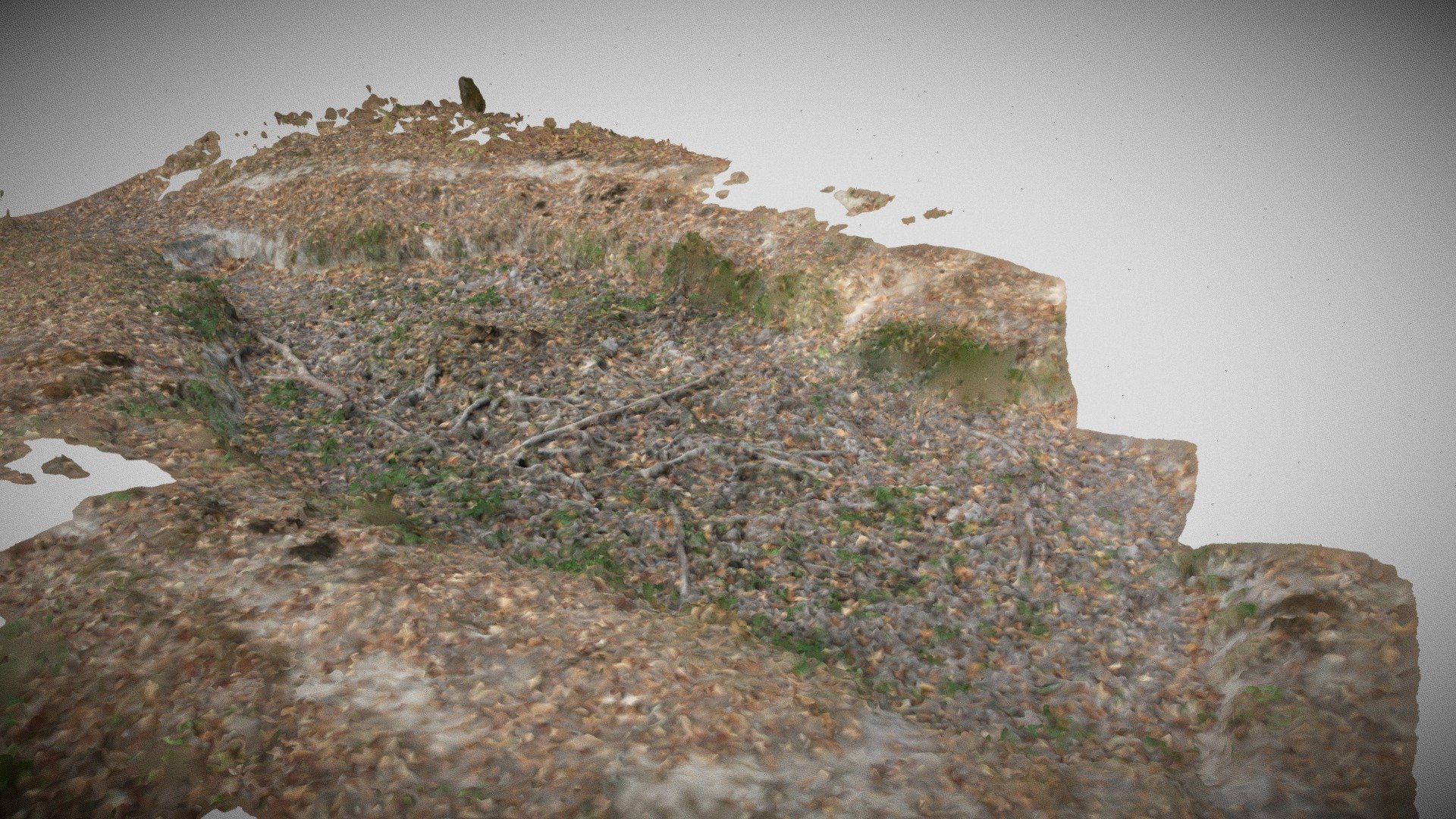Test Modélisation Mare - 3D model by geoek [16c96c8] - Sketchfab