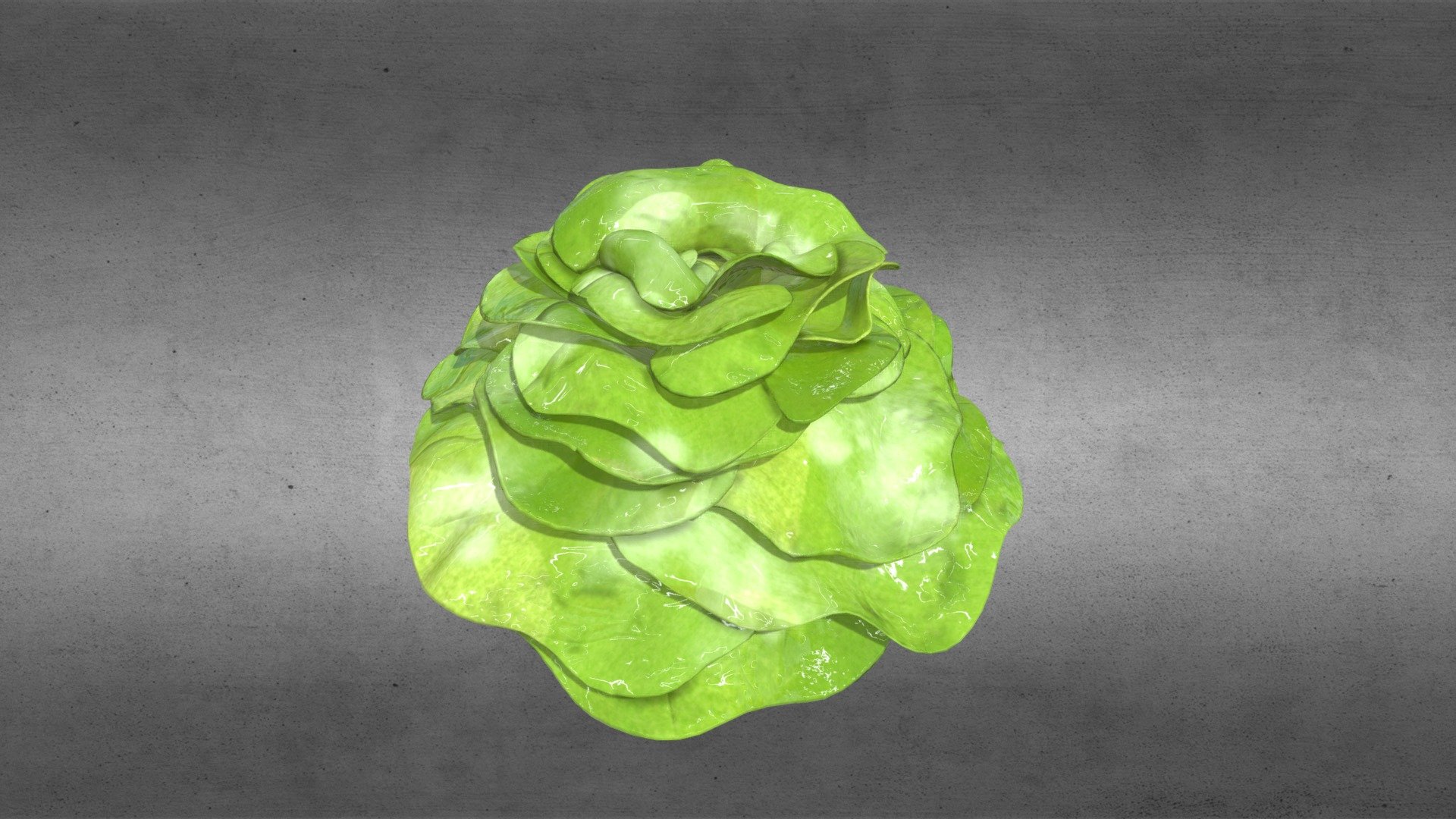 Low poly Lettuce - 3D model by Serkan ÇINAR (@mr.cserkan) [16cf670 ...