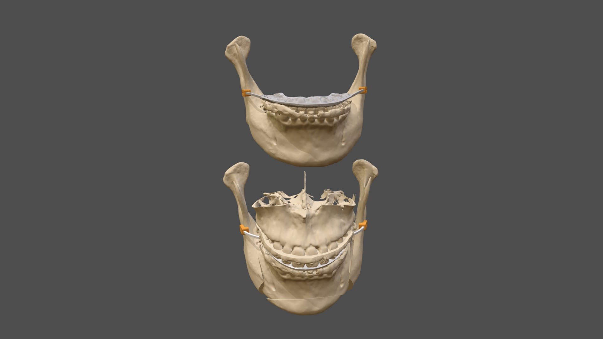 OsRaGi - 3D model by a2323555 [16cfc8c] - Sketchfab