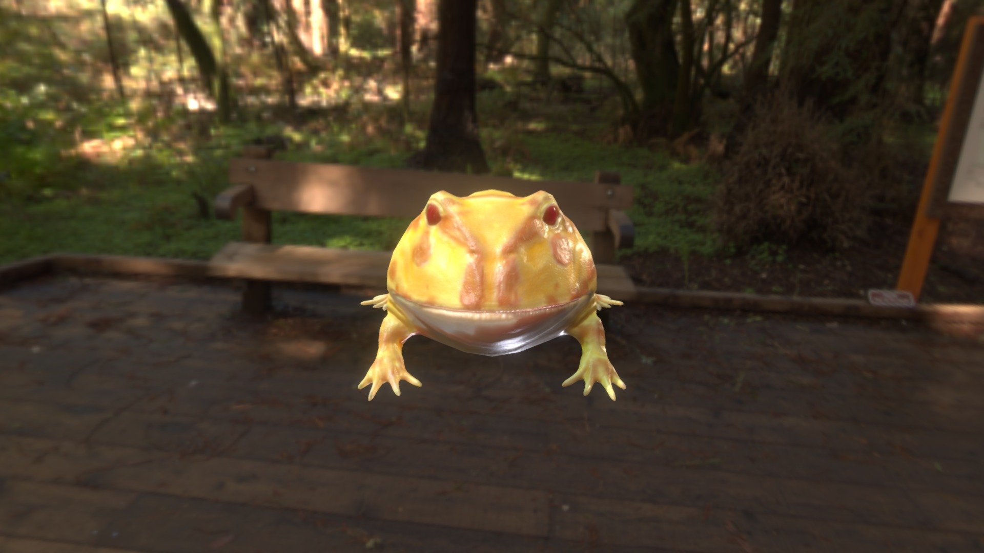 frog - Download Free 3D model by vincent_gps [16d98f5] - Sketchfab