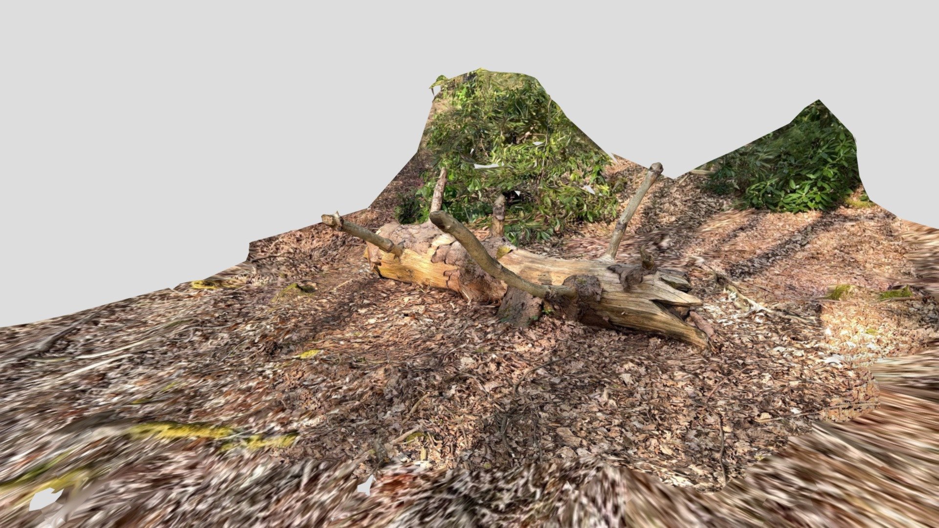 Eccentric tree trunk - Download Free 3D model by acrwrs [16d9ad6 ...
