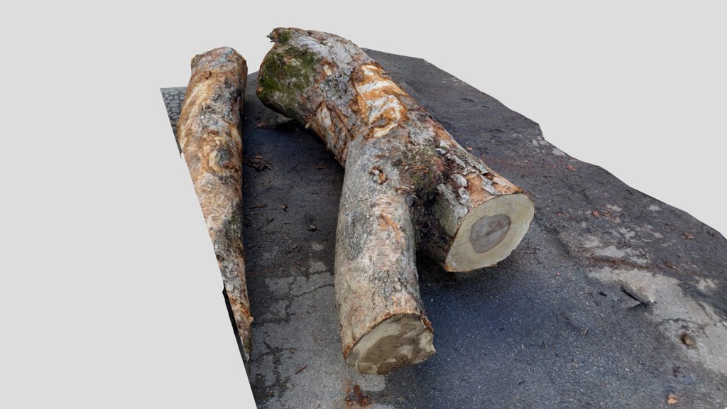 Stumps and Fallen Trees - A 3D model collection by baxterbaxter - Sketchfab