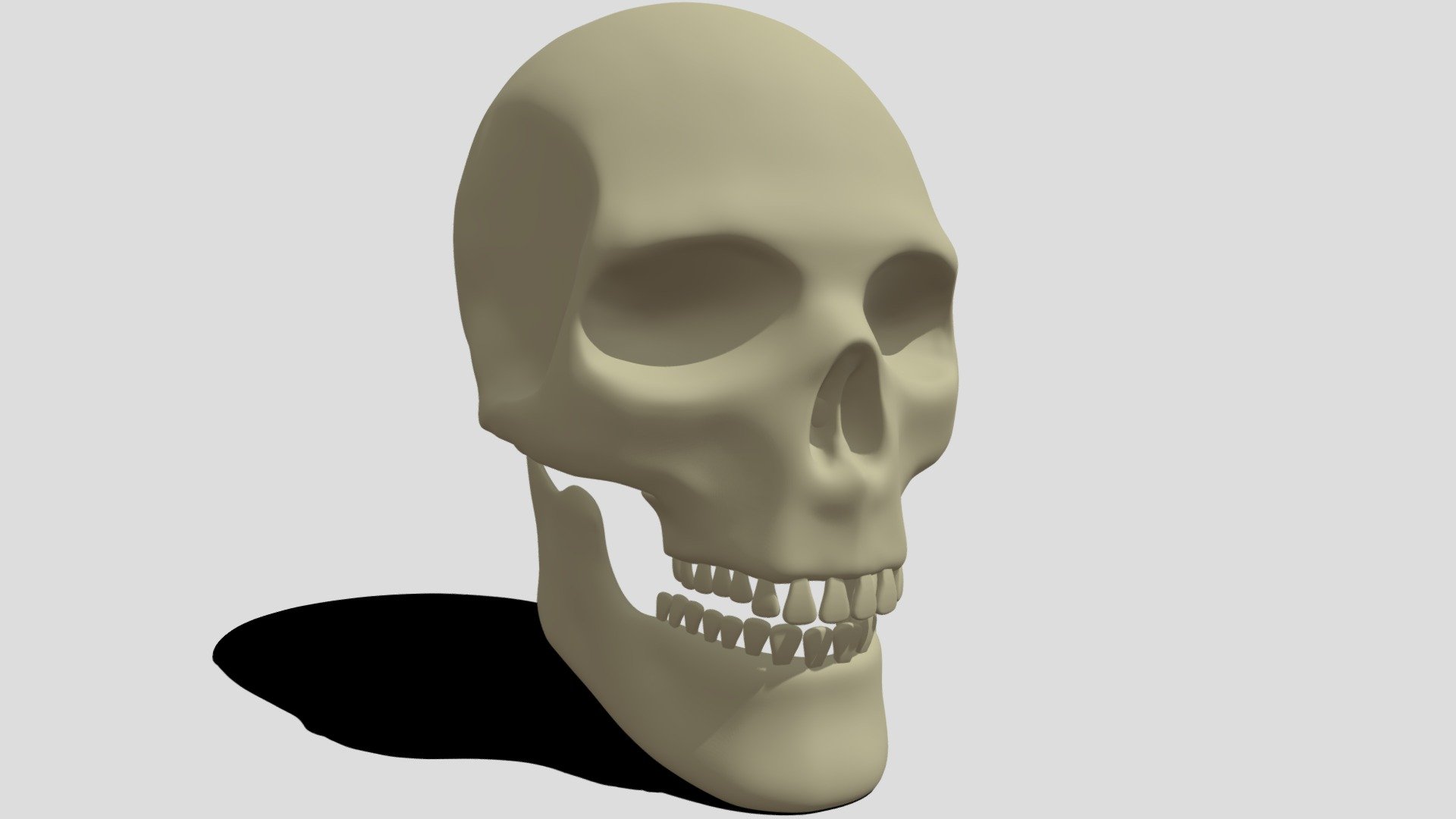 Human Skull - 3D model by Akshay Sharma (@piko3d) [16e6752] - Sketchfab