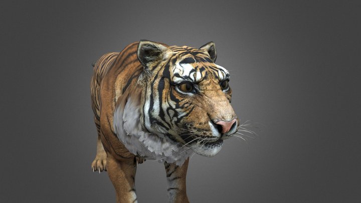 Yakuza 3D models - Sketchfab