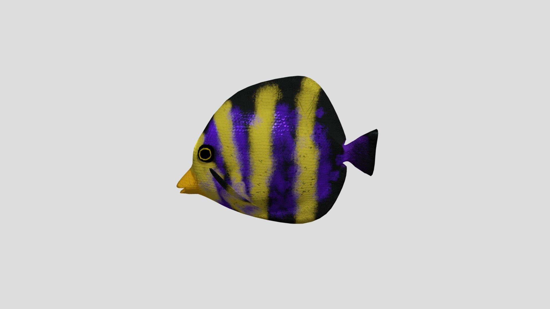 Fish - Download Free 3D model by kevin.thanhauser [16e87b9] - Sketchfab