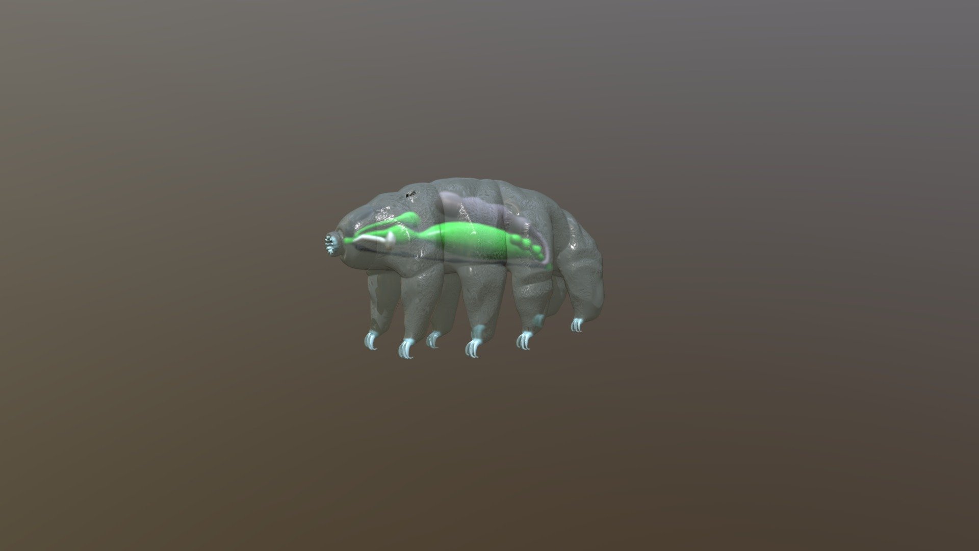 tardigrade - water bear - Buy Royalty Free 3D model by Digital3dWorld ...