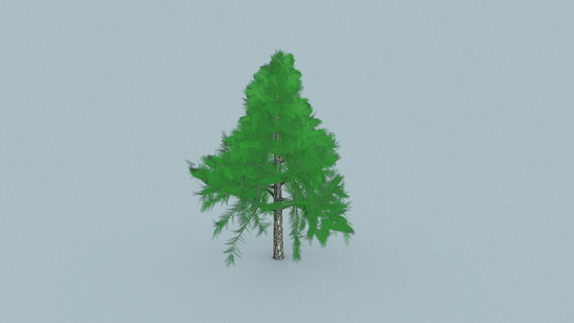 Pine Tree - Buy Royalty Free 3D model by 3dia [16fadd9] - Sketchfab Store