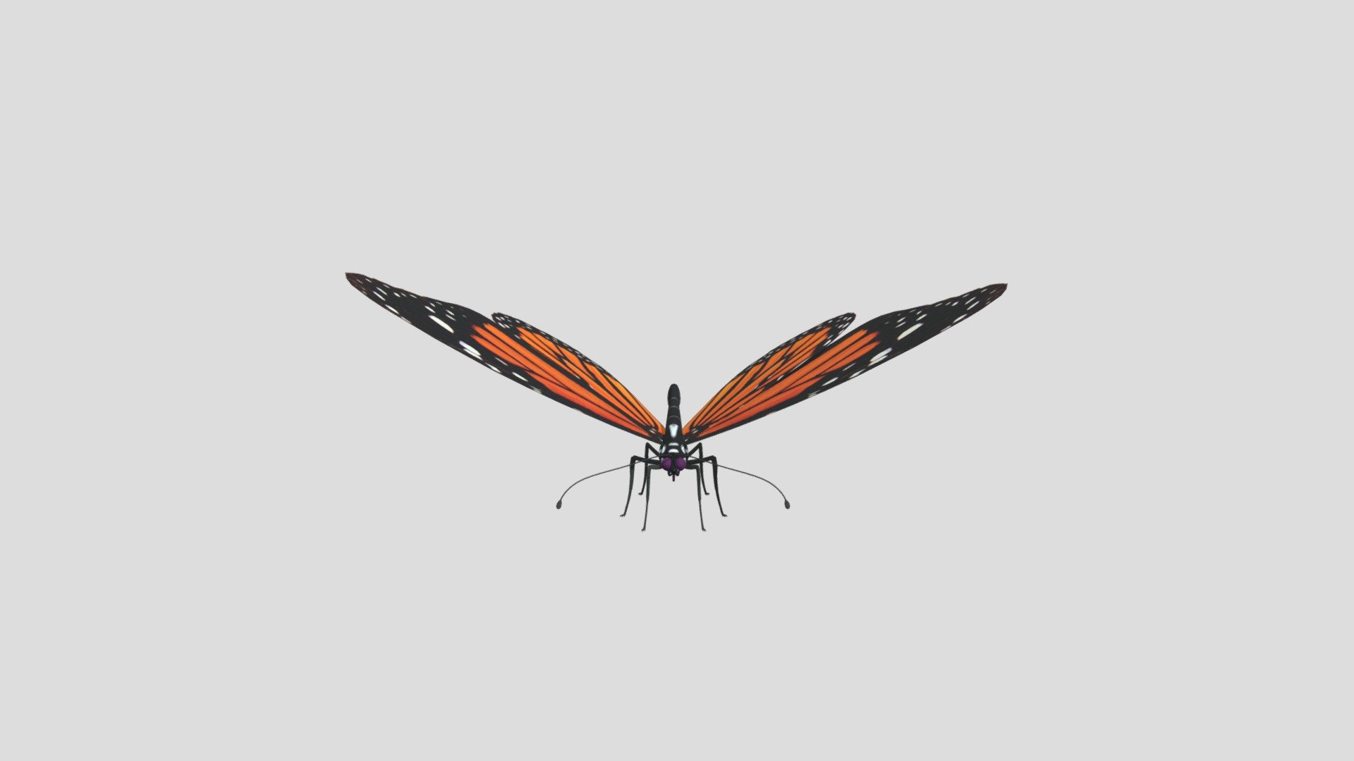 The butterfly - 3D model by enricowintheiser8 [1702efc] - Sketchfab
