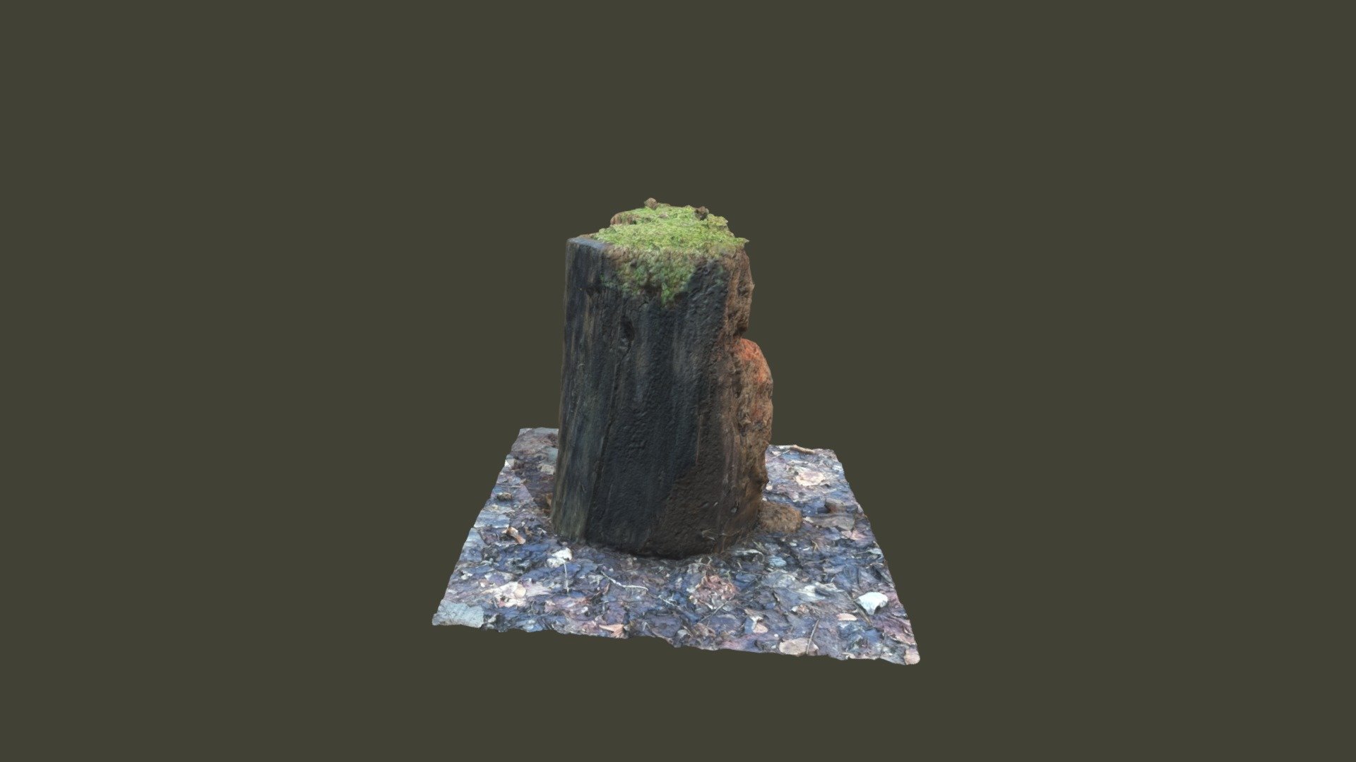 PIECE_OF_WOOD_PHOTOGRAMMETRY - 3D model by f_sonn_ [170701f] - Sketchfab