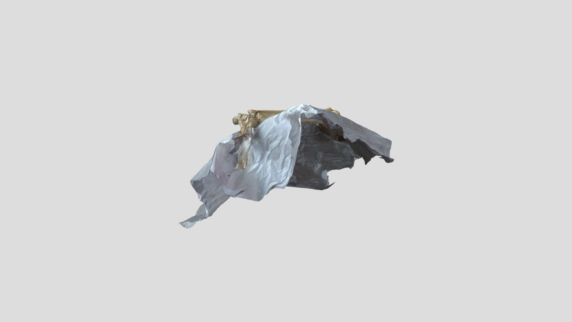 bone on paper - Download Free 3D model by khairos [17092ad] - Sketchfab
