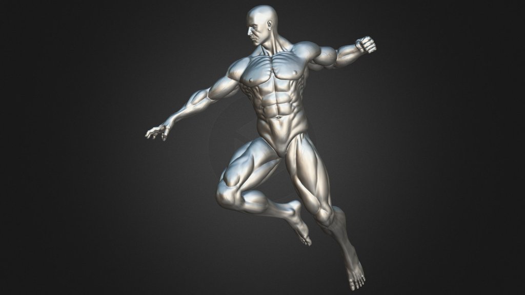 Bodybuilders - A 3D model collection by aramsus - Sketchfab