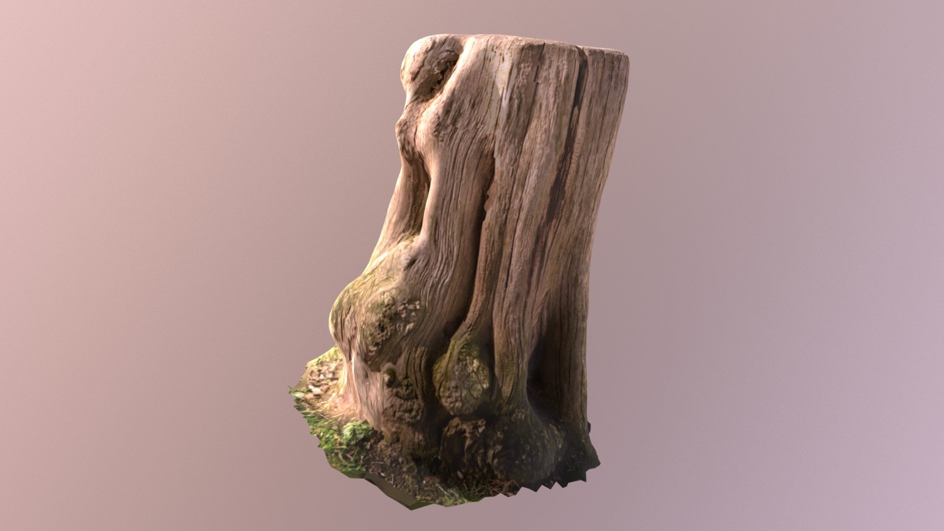 Tree Stump Photogrammetry - Buy Royalty Free 3D model by Tim Kramarz ...