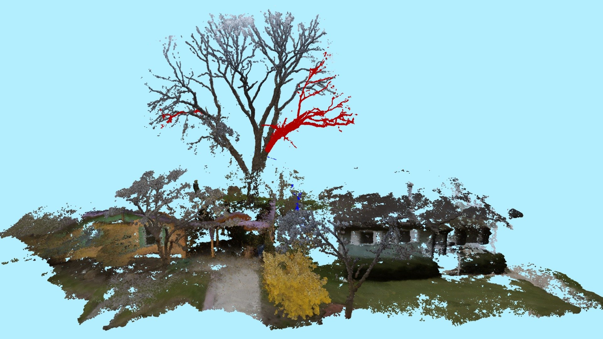 Locust with Annotations - 3D model by Aerial Arborist Innovations ...