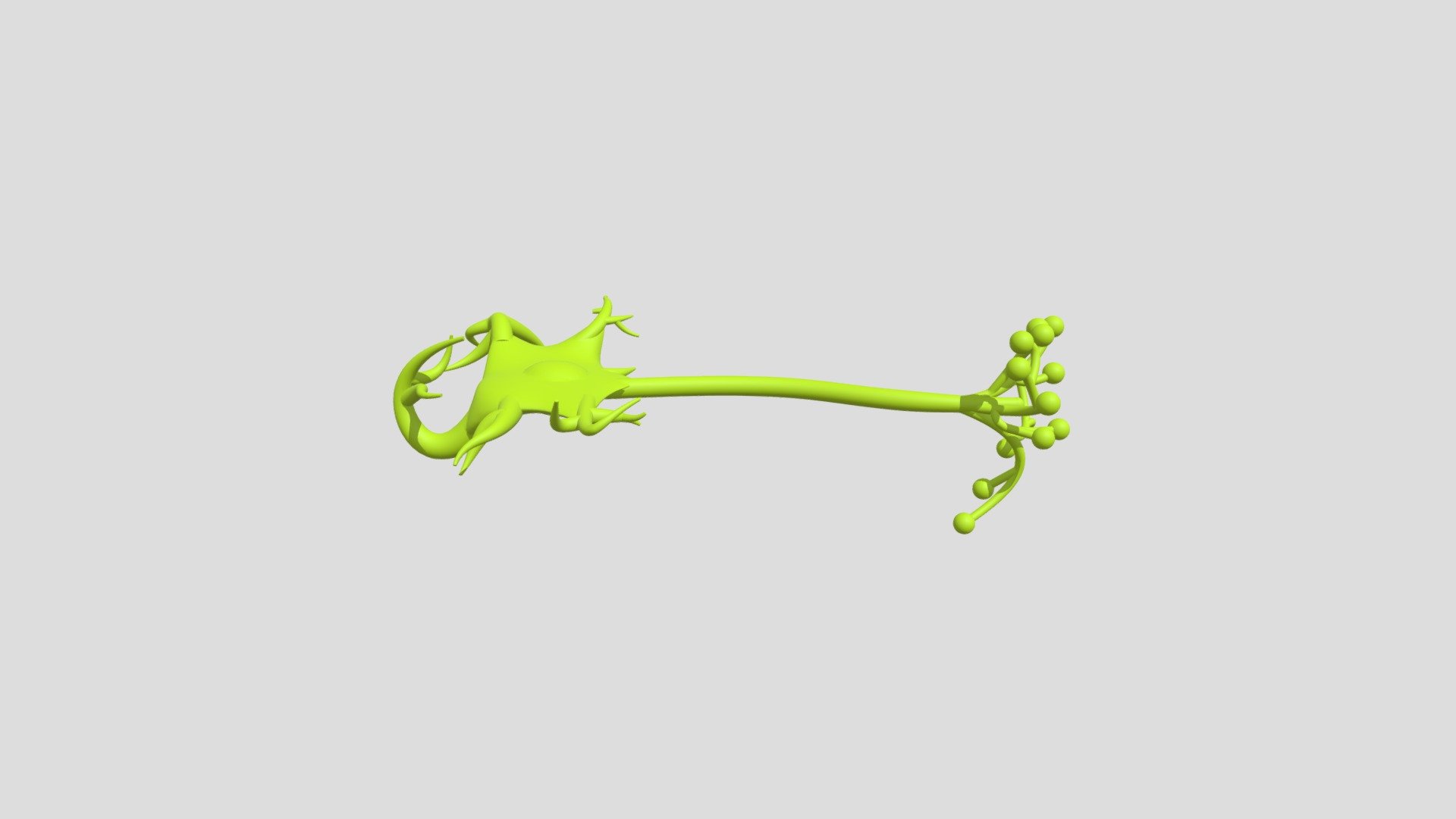 Neuron Cell Model 3d Model By Victorhp Victorhp2 [1711e85] Sketchfab