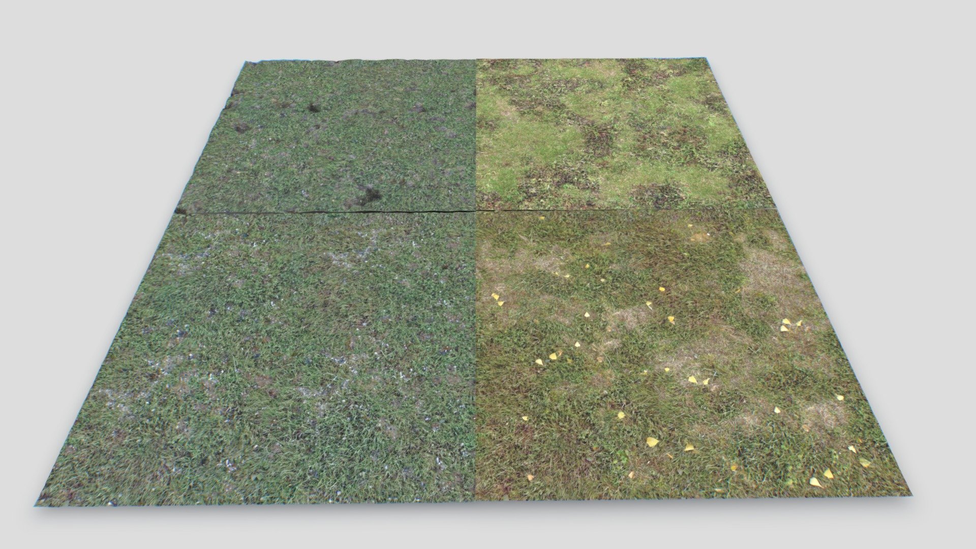 Ground terrain forest tundra PBR pack 4 - Buy Royalty Free 3D model by ...