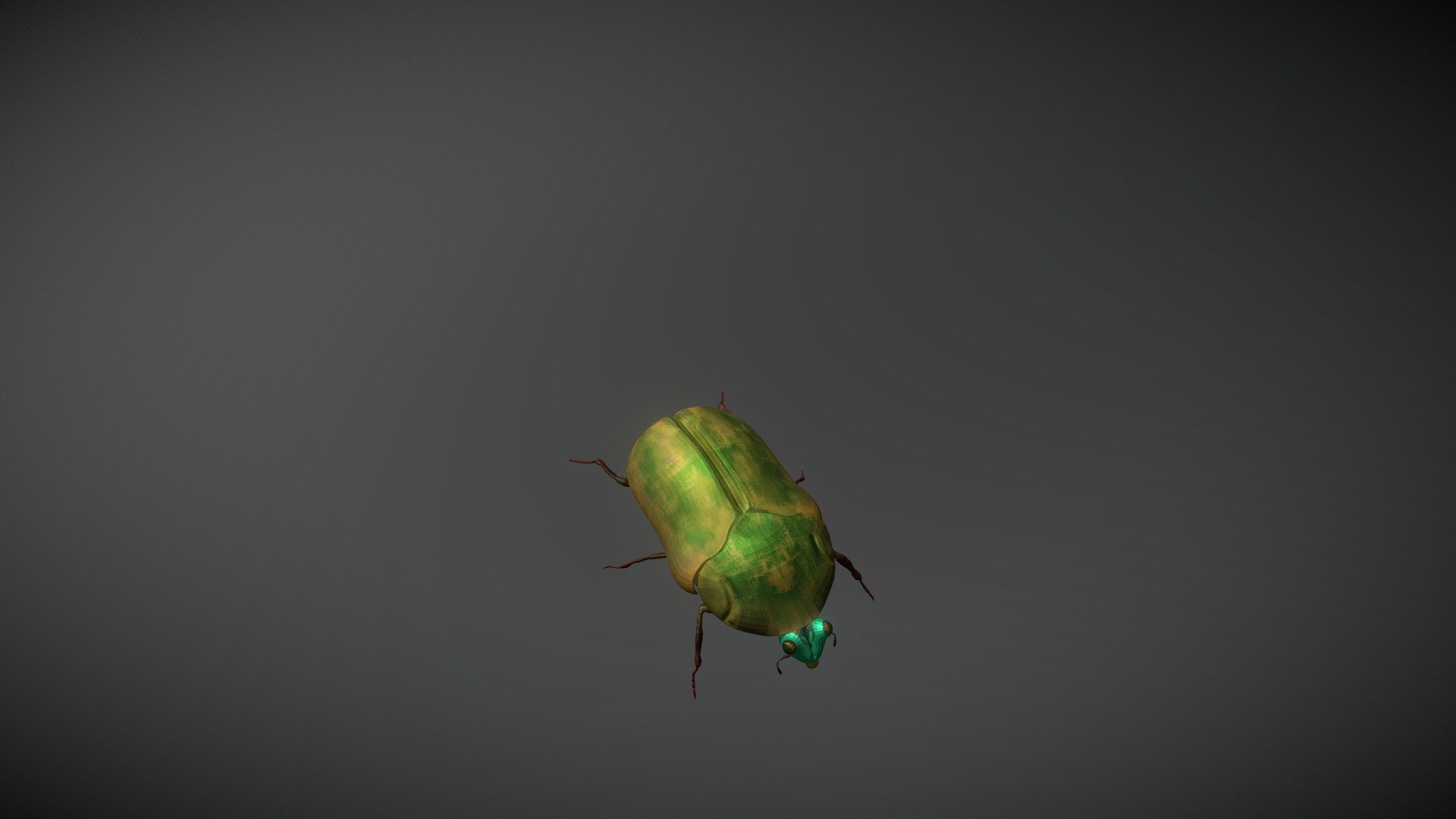 Junebug - Download Free 3D model by Penviro [1726981] - Sketchfab