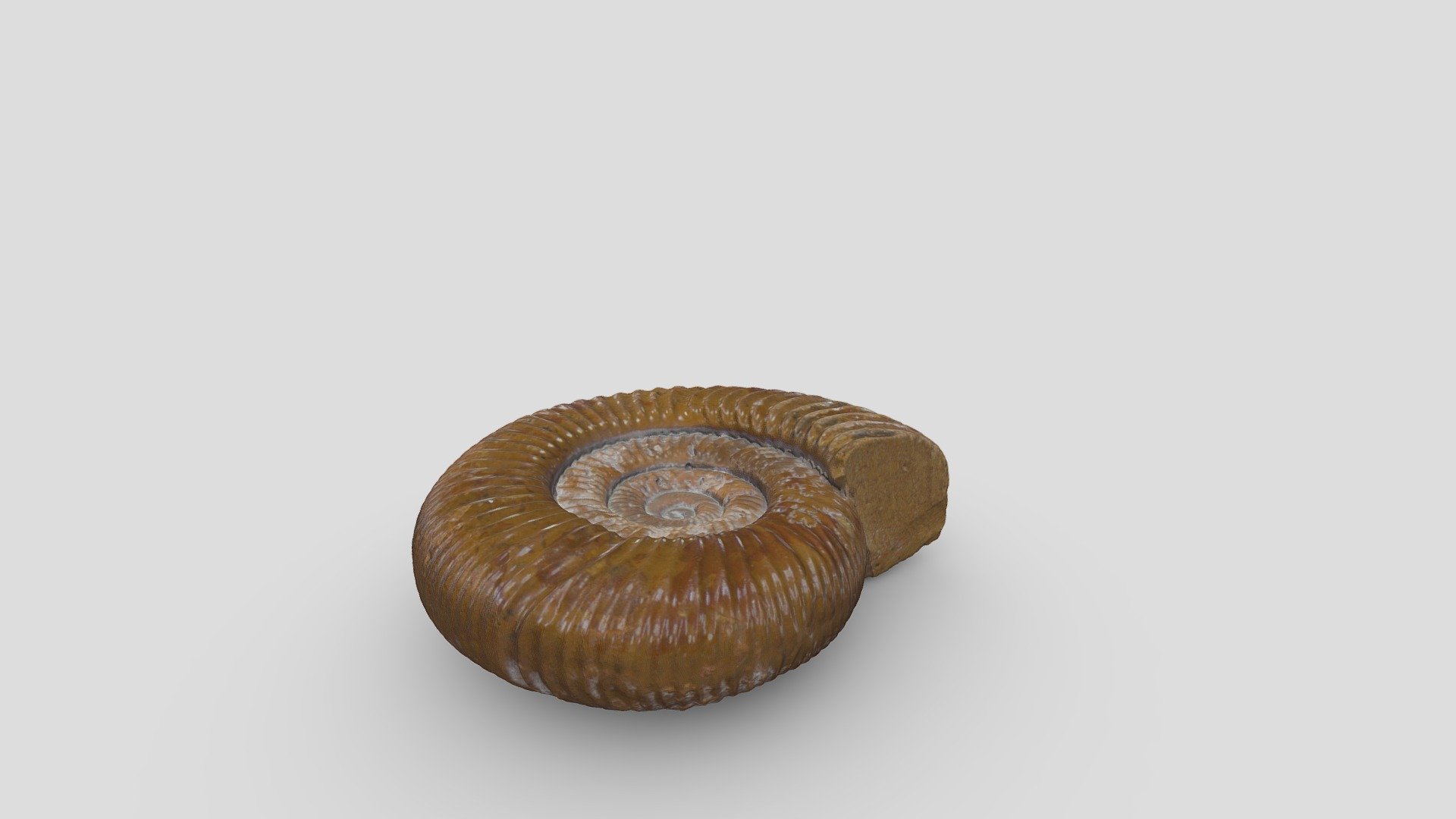 Anomite - 3D model by Falmouth University - 3D Digital Workshops ...