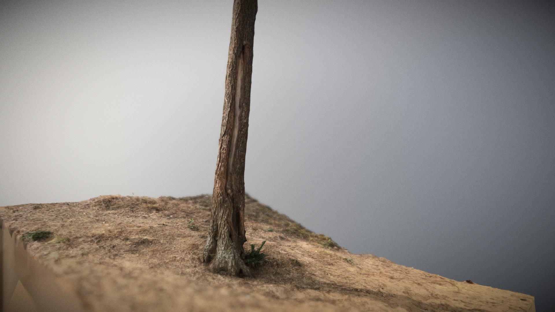 Tree Trunk - Download Free 3D model by mitakazoom [172f5dc] - Sketchfab