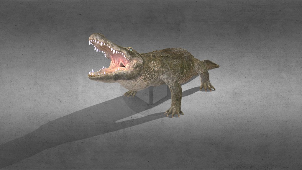 Animals from The Hunter COTW Game - A 3D model collection by Game ...