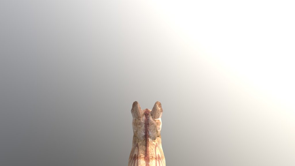 Sand Dingo - 3D model by asagakuru [1735090] - Sketchfab
