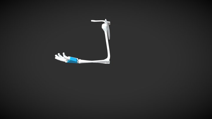 Joint 3D models - Sketchfab