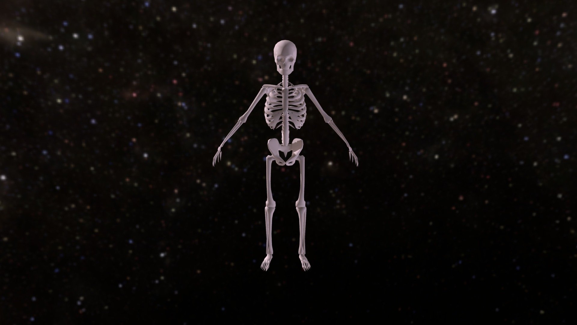 Moranskeleton3-5 - 3D model by mmoran1 [173ce05] - Sketchfab
