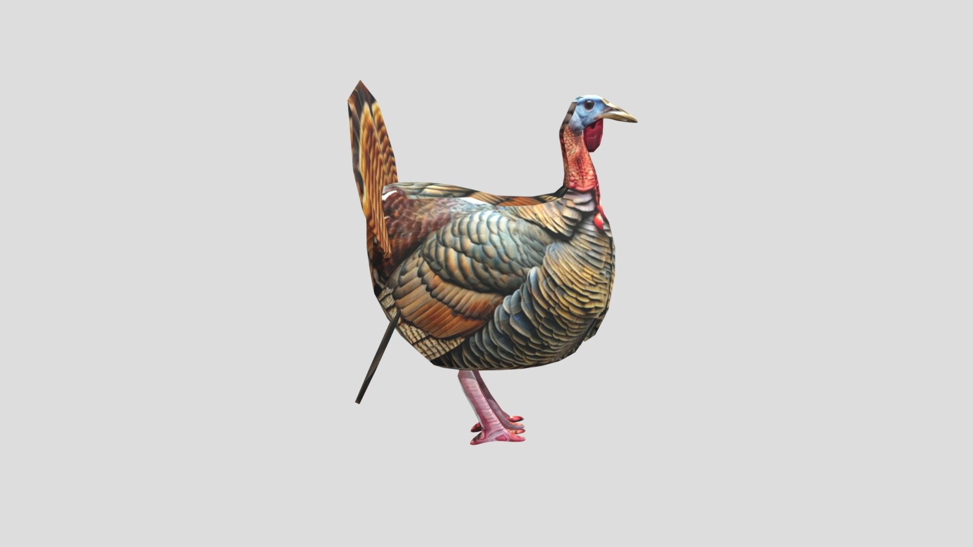 Low Poly Turkey - Download Free 3D model by DoodleVR09415 [17416bd ...