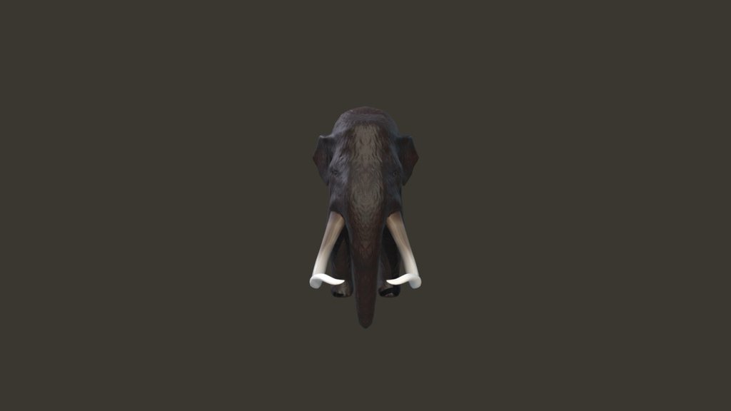 Mammoth - 3D model by chrisli328 [1742037] - Sketchfab