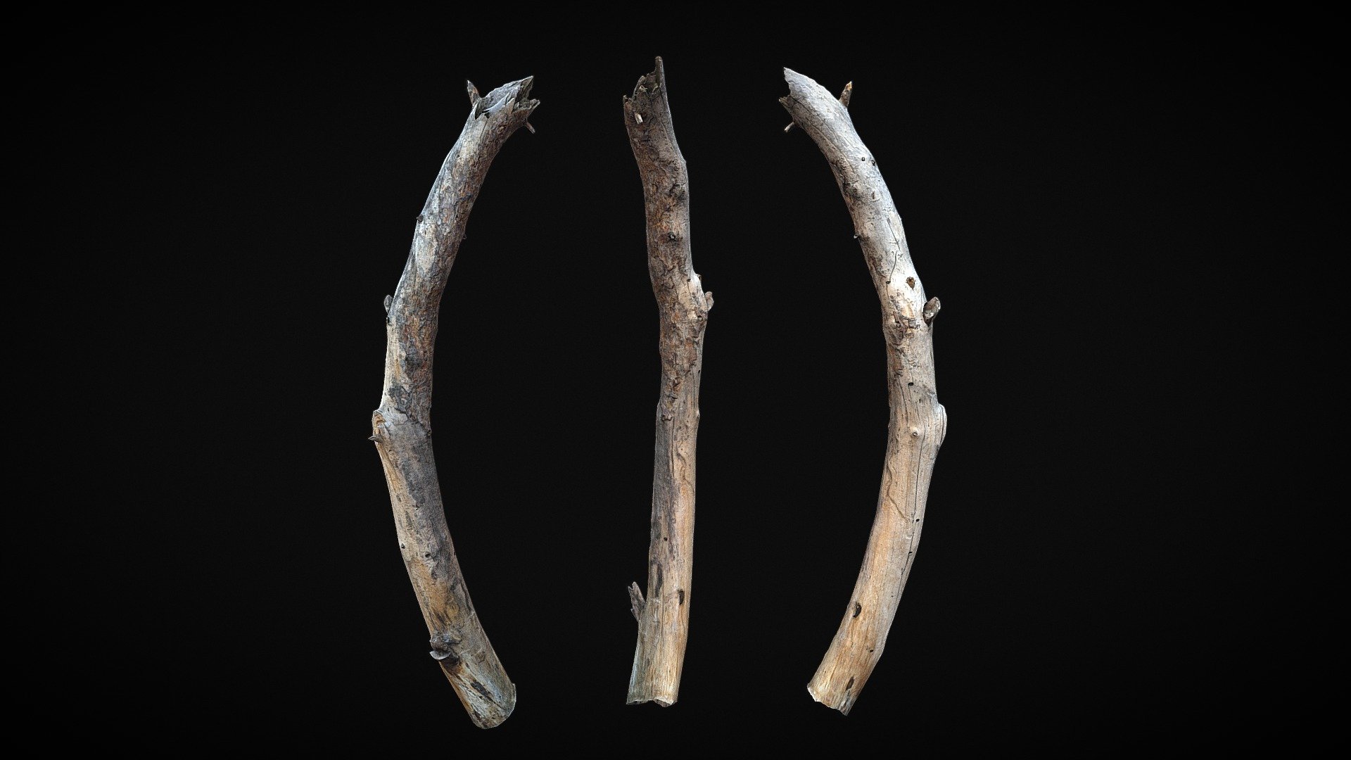 Driftwood Branch 01 3D Scanned - Buy Royalty Free 3D model by GamePoly ...