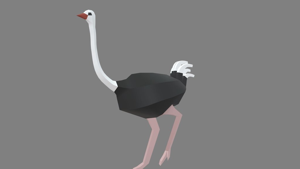 Ostrich Animations - A 3D model collection by bennybrickster - Sketchfab