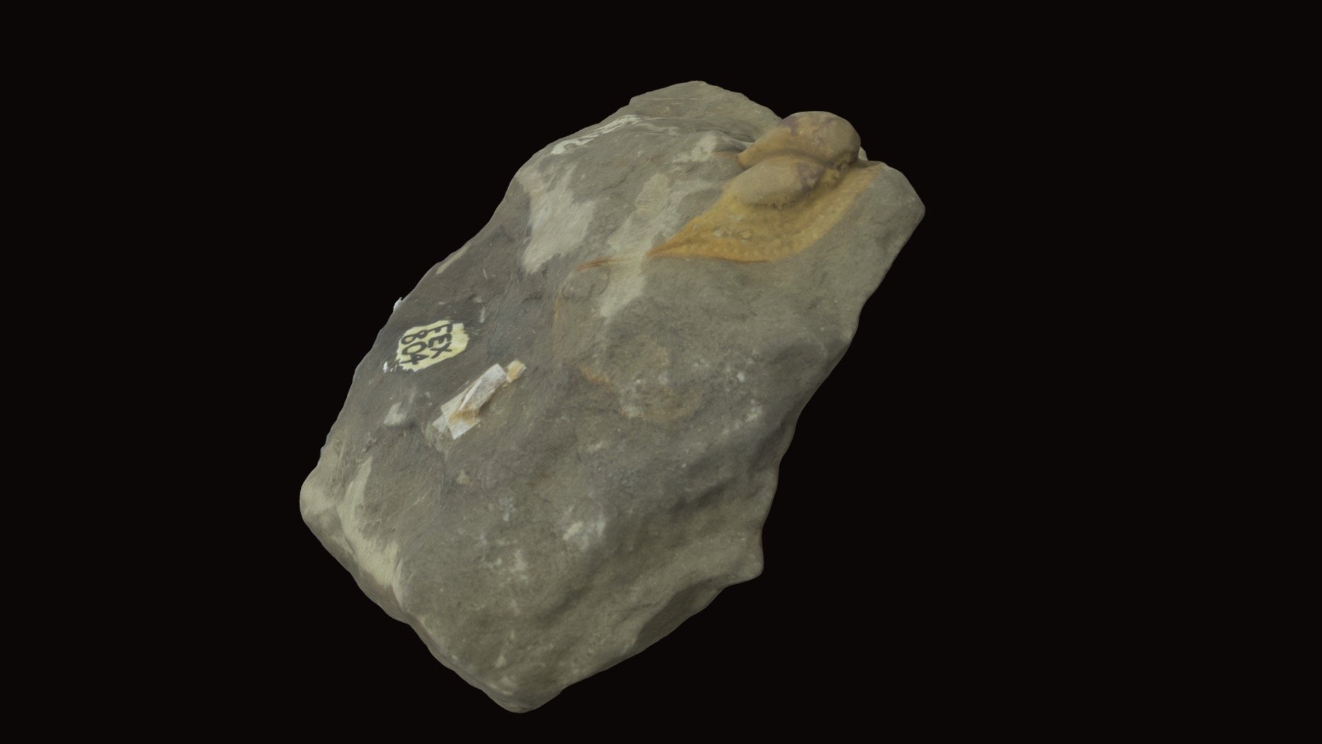 Stu-2 - 3D model by dah [1763060] - Sketchfab