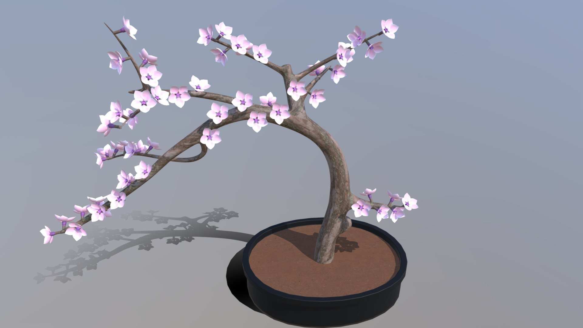 Plant - Cherry Blossom - Download Free 3D model by benedicd [1763875 ...