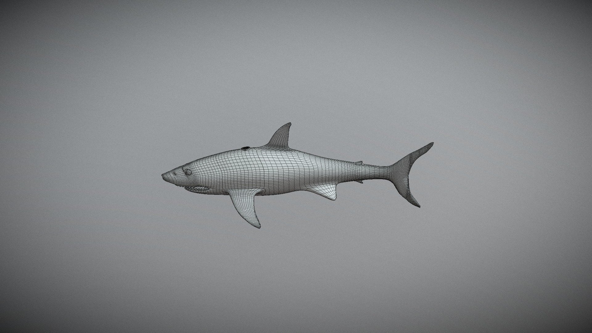 Toy Shark - 3D model by Scott Barnett (@scottbarnetto) [1765b44 ...