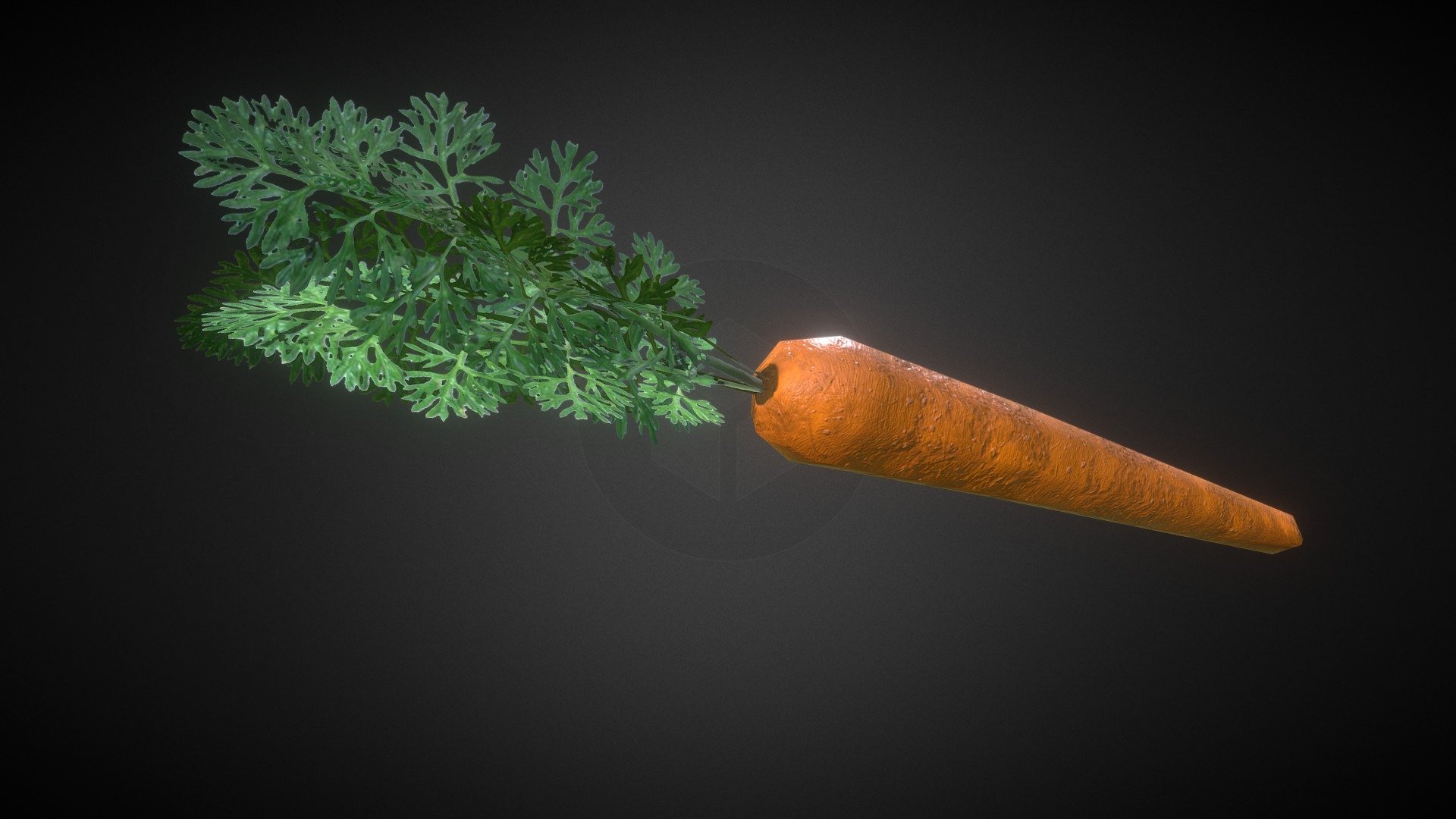 carrot - Download Free 3D model by filthycent [1769a36] - Sketchfab